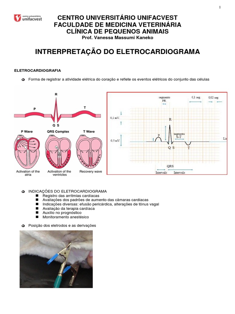 Eletrocardiograma Cães e Gatos - I | PDF | Eletrocardiografia ...