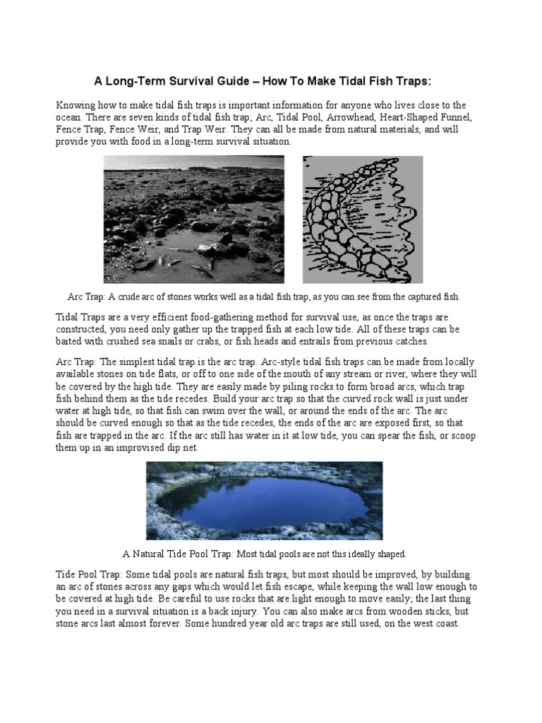 A Long-Term Survival Guide - How To Make Tidal Fish Traps | PDF | Tide ...