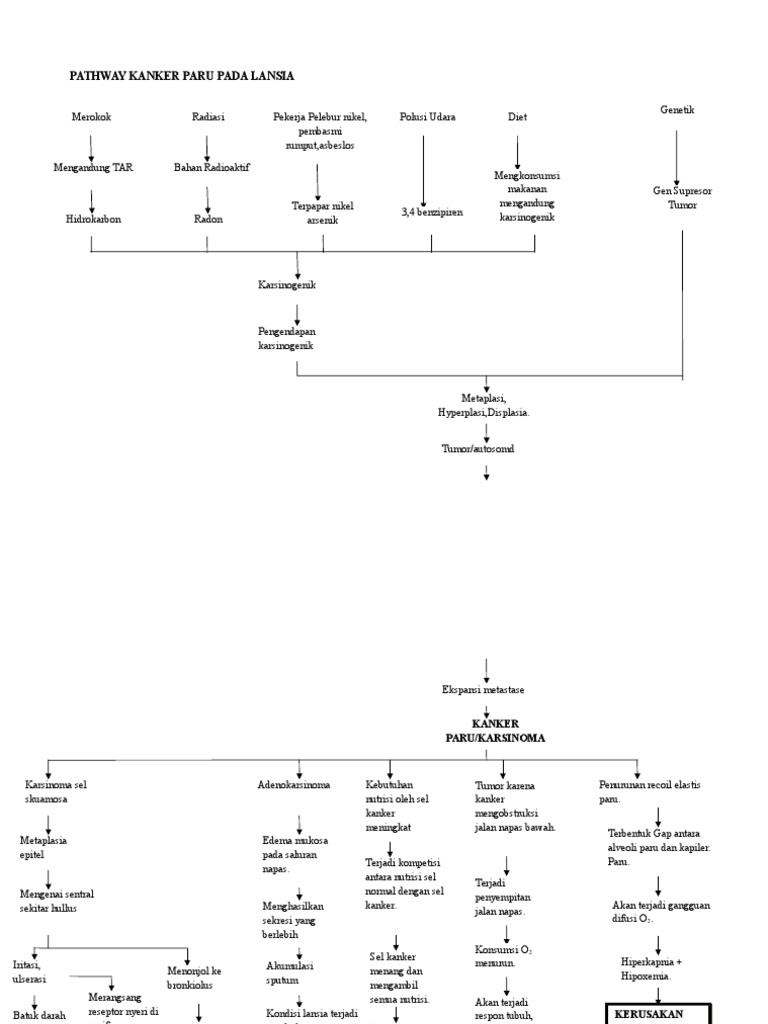 Pathway CA Paru Lansia | PDF