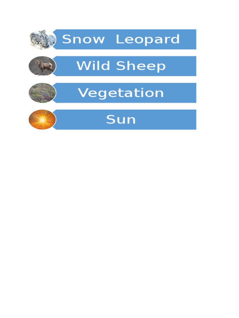 Snow Leopard Food Chain | PDF