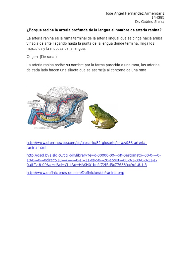 Arteria Ranina | PDF | Artes del Lenguaje y Comunicación | Estudios de ...