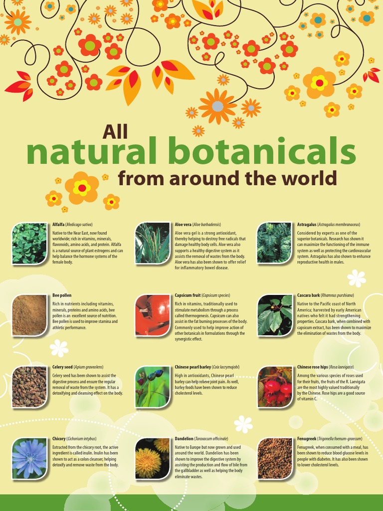 Botanical Info Leaflet | PDF | Alfalfa | Nutrition