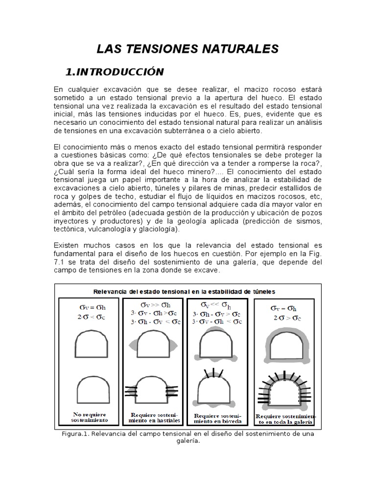 Las Tensiones Naturales | PDF | Estrés (Mecánica) | Elasticidad (Física)