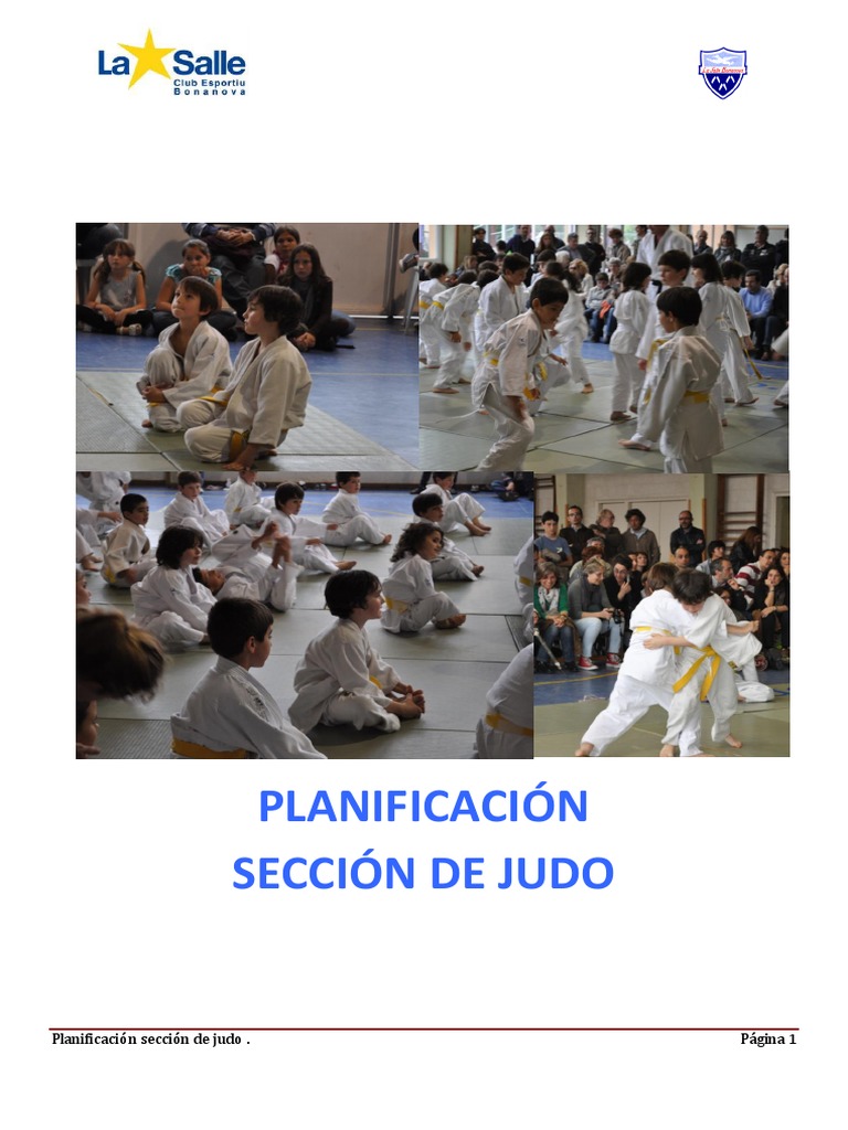 Planificación Técnica JUDO | PDF | Judo | Planificación