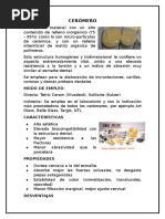 Líneas de Terminación | PDF | Dentadura postiza | Diente