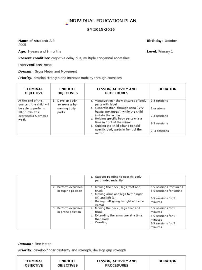 Sample IEP | PDF | Psychological Concepts | Cognitive Science
