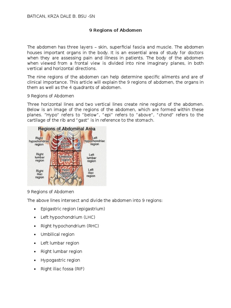 9 Regions of Abdomen | PDF | Abdomen | Large Intestine