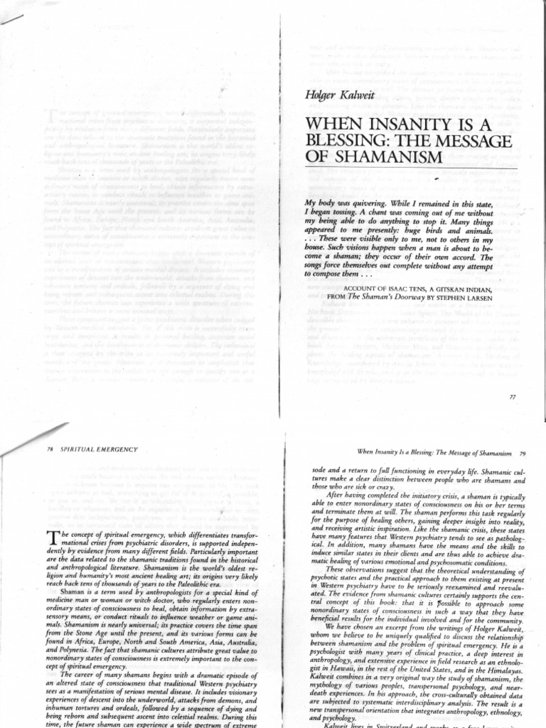 Holger Kalweit - When Insanity Is A Blessing | PDF
