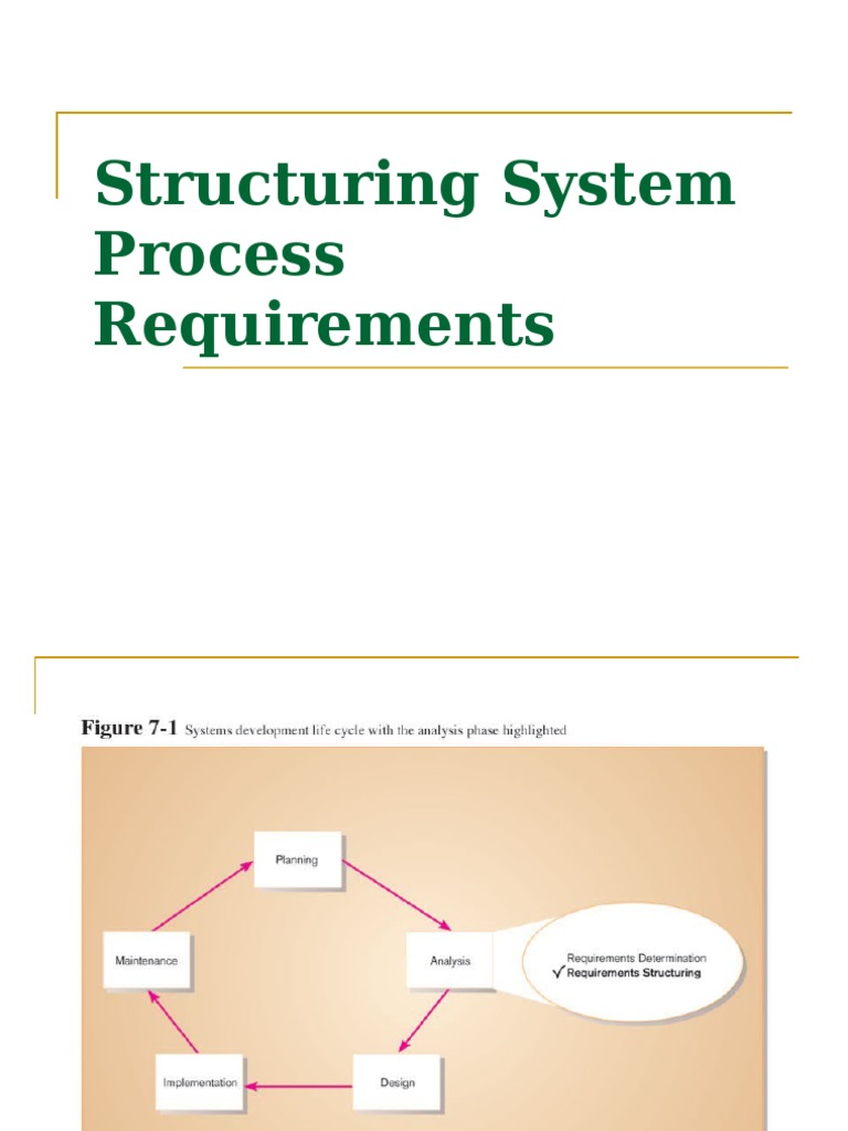 Structuring System Process Requirements | PDF | Data Management | Areas Of Computer Science