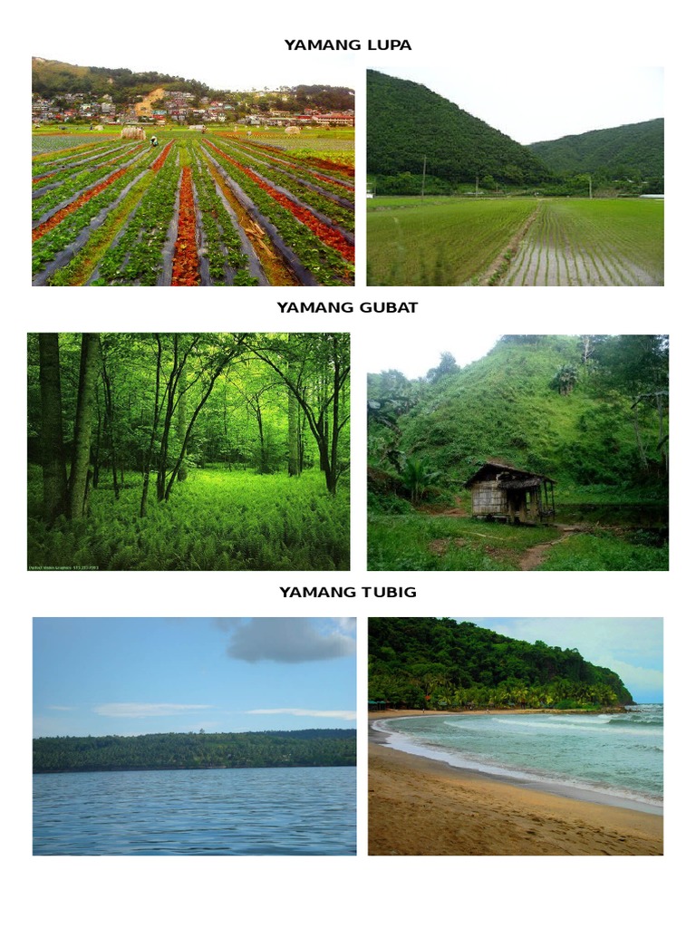 Yamang Kalikasan Ang Mga Halimbawa Ng Yamang Lupa Na Pakinabang Ng