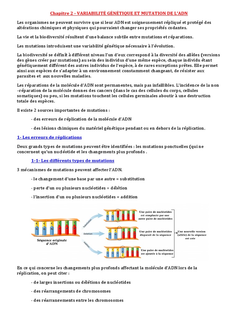 Autre-cours-genetique-mutation.pdf | Mutation | Réplication de l'ADN