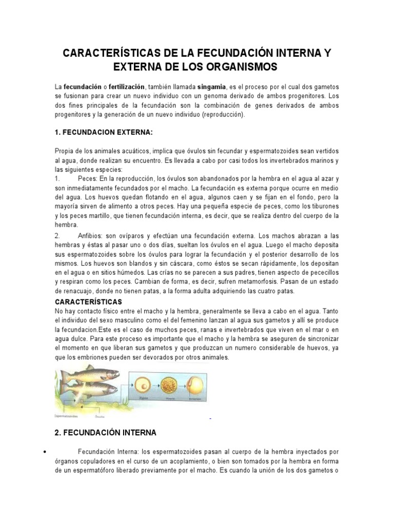 Diferencias entre fecundación interna y externa | PDF | Huevo | Interacciones biológicas