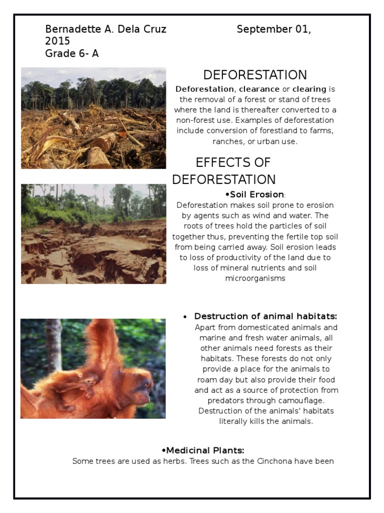 Deforestation | PDF | Deforestation | Agriculture