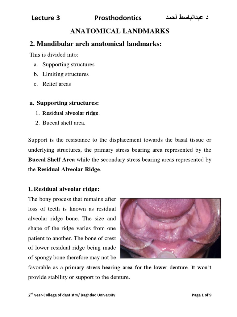 Retromylohyoid Space