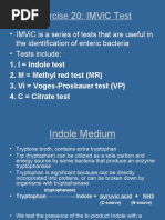 API 20E Test System | PDF | Biochemistry | Chemistry