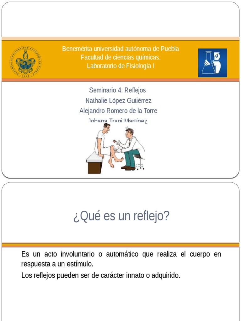 Componentes y tipos de reflejos | PDF | Neurofisiología | Órgano (anatomía)