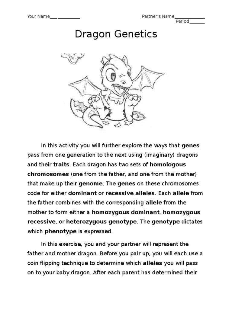 Dragon Genetics Activity Guide | PDF | Allele | Dominance (Genetics)