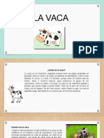 Ciclo de Vida de la Vaca para Niños | PDF | Vacas | Leche
