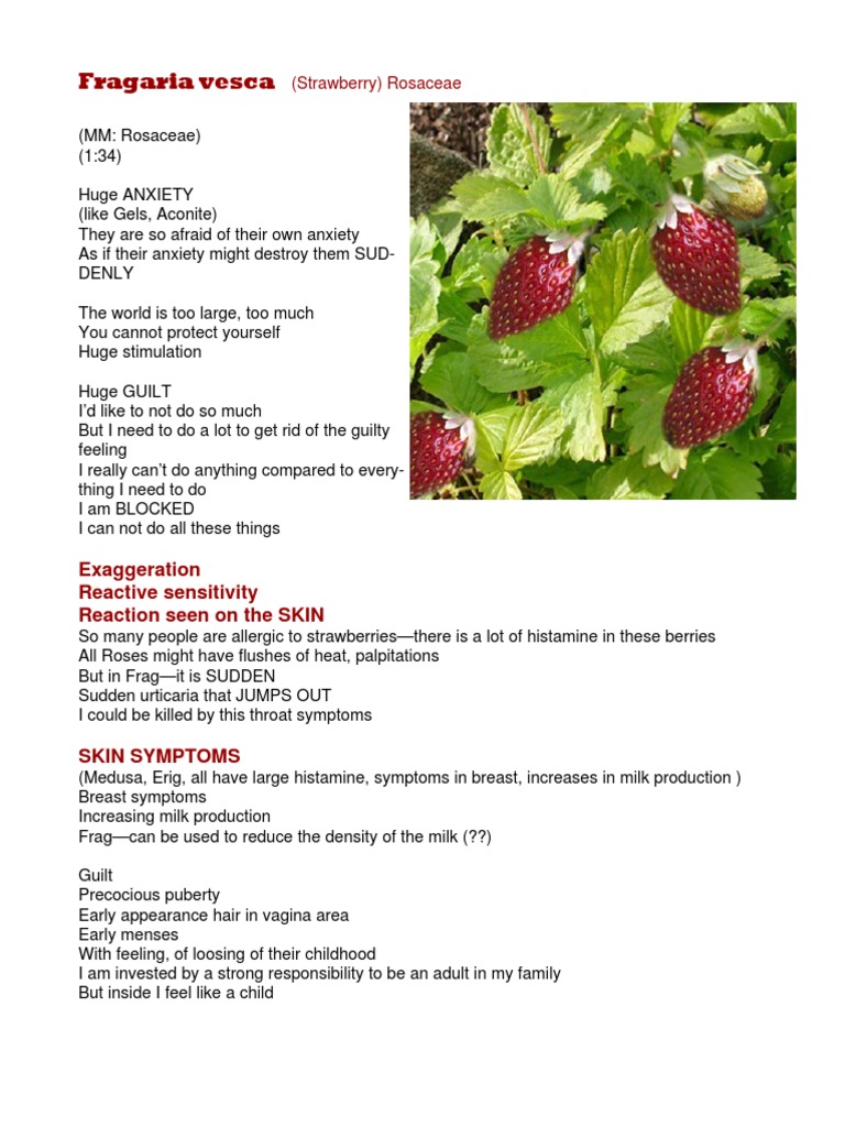 Medicinal Uses of Fragaria Vesca | PDF | Wellness