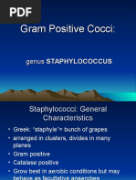Sketchy Microbiology Bacteria | PDF | Streptococcus | Staphylococcus Aureus