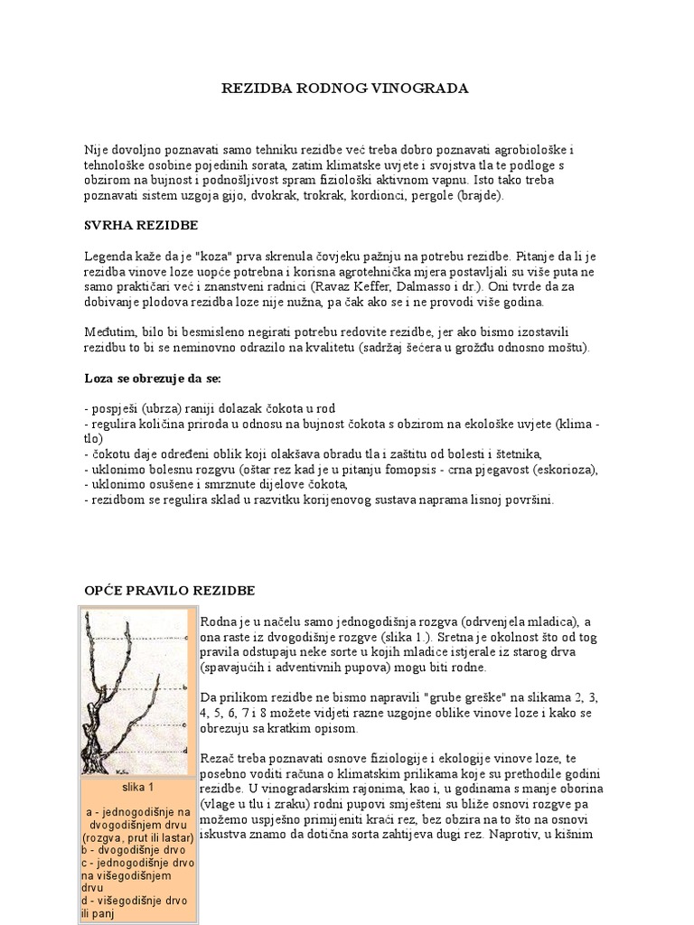 Rezidba Rodnog Vinograda | PDF
