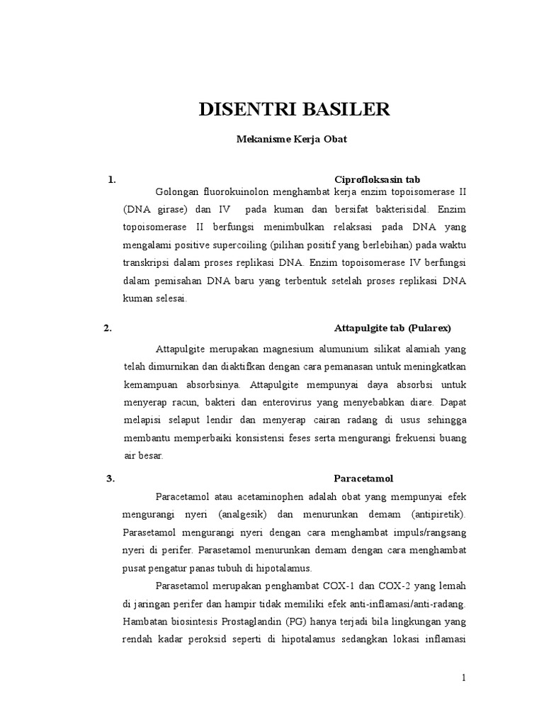 Mekanisme Kerja Obat Disentri Basiler | PDF