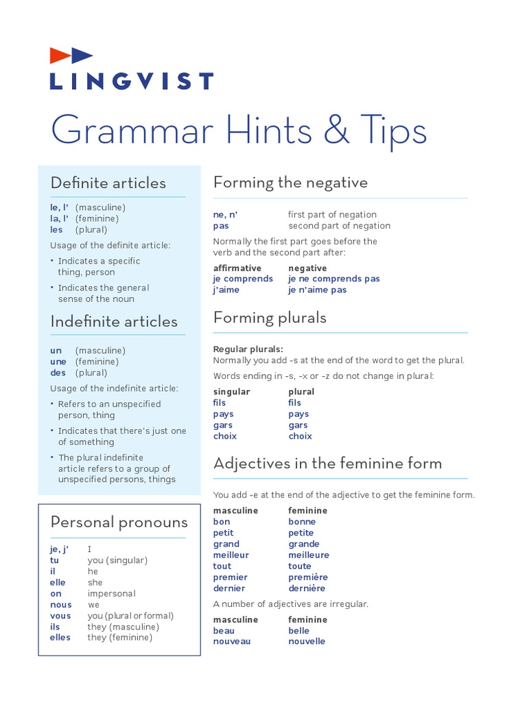 Beginner's French Grammar Guide | PDF | Grammatical Gender | Language ...