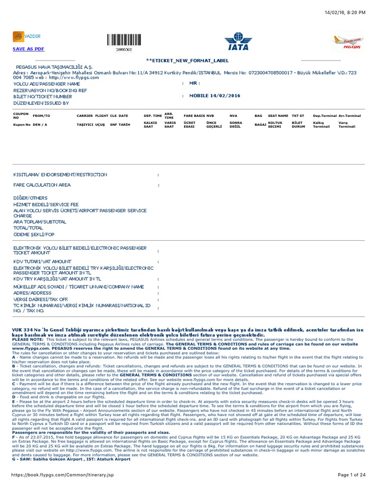 Sample of Pegasus Ticket | Aviation | Transport