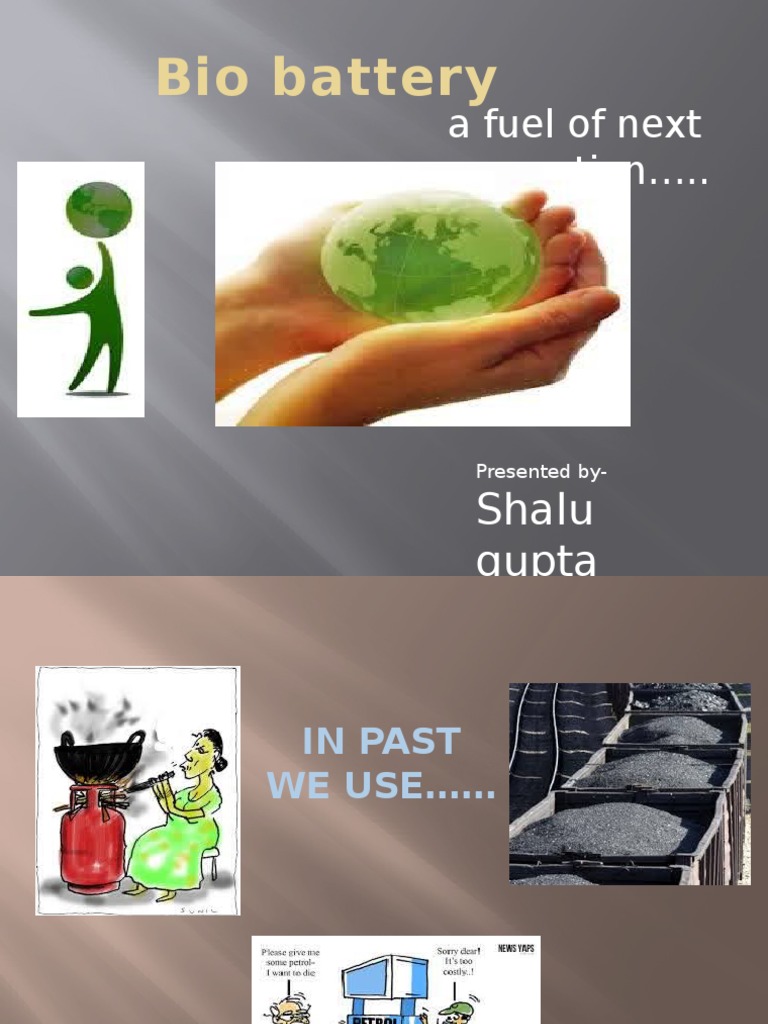 An Introduction to Bio Batteries: A New Era of Renewable Energy ...