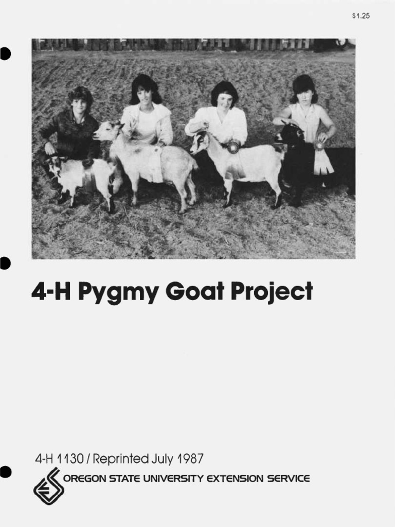 Pygmy Goat Project | PDF | Goat | Hay