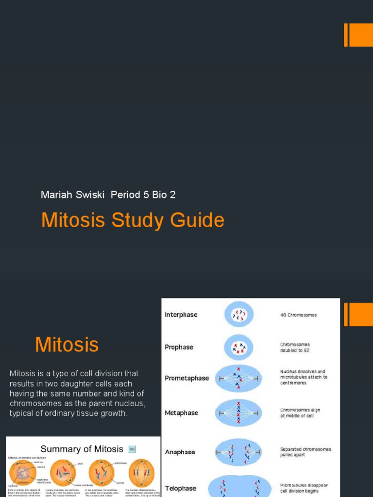 Mitosis Overview and Stages Guide | PDF | Science & Mathematics