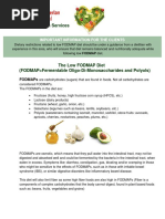 Program Flow Debut | PDF