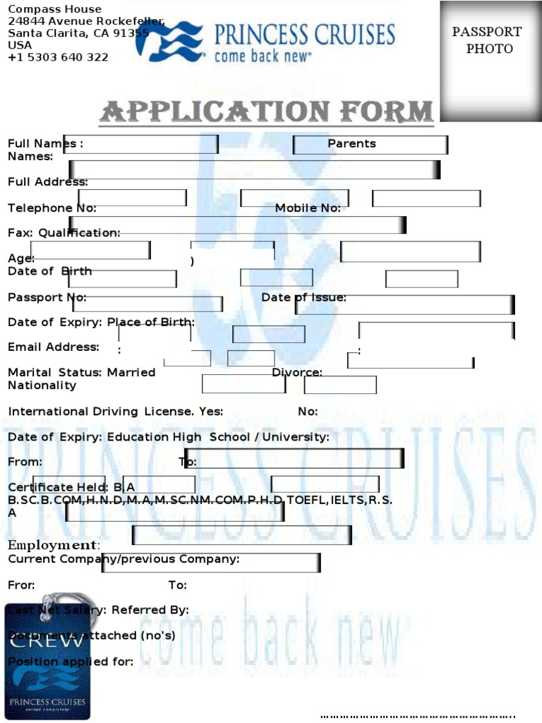 Princess Application and Interview Form | PDF