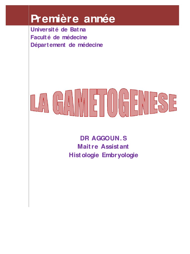La Gametogenese Cours | PDF | Système reproducteur | Biologie cellulaire