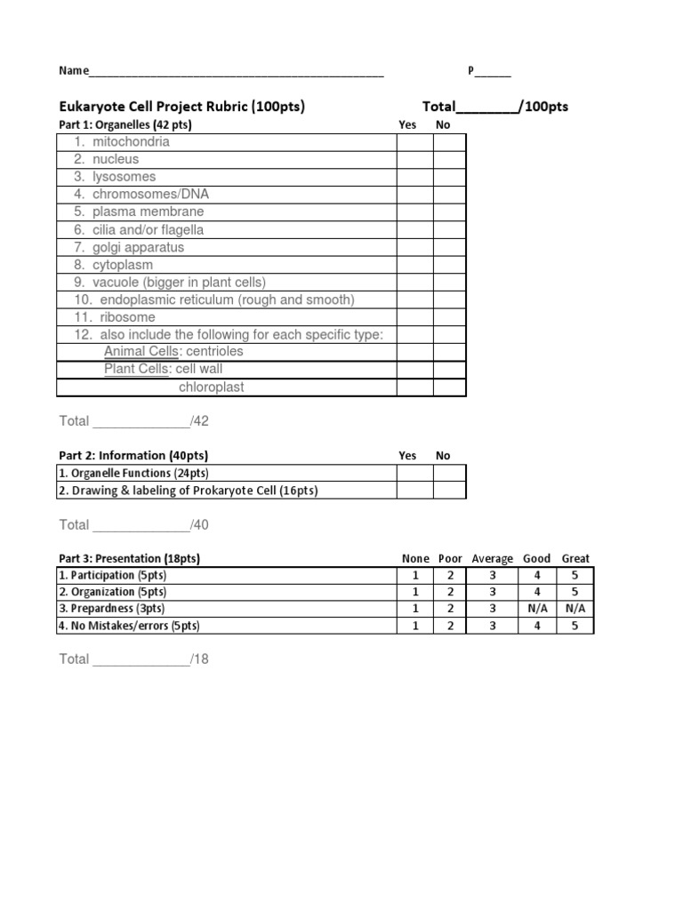 Cell Model Rubric | PDF | Science & Mathematics