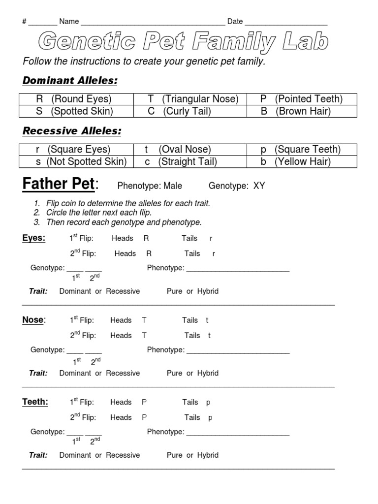 Genetic Pet Family Project Guide | PDF | Dominance (Genetics) | Genotype