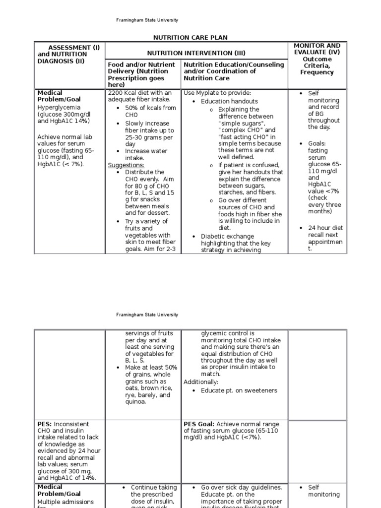 Diabetes Nutrition Care Plan Example | PDF | Fat | Dietary Fiber