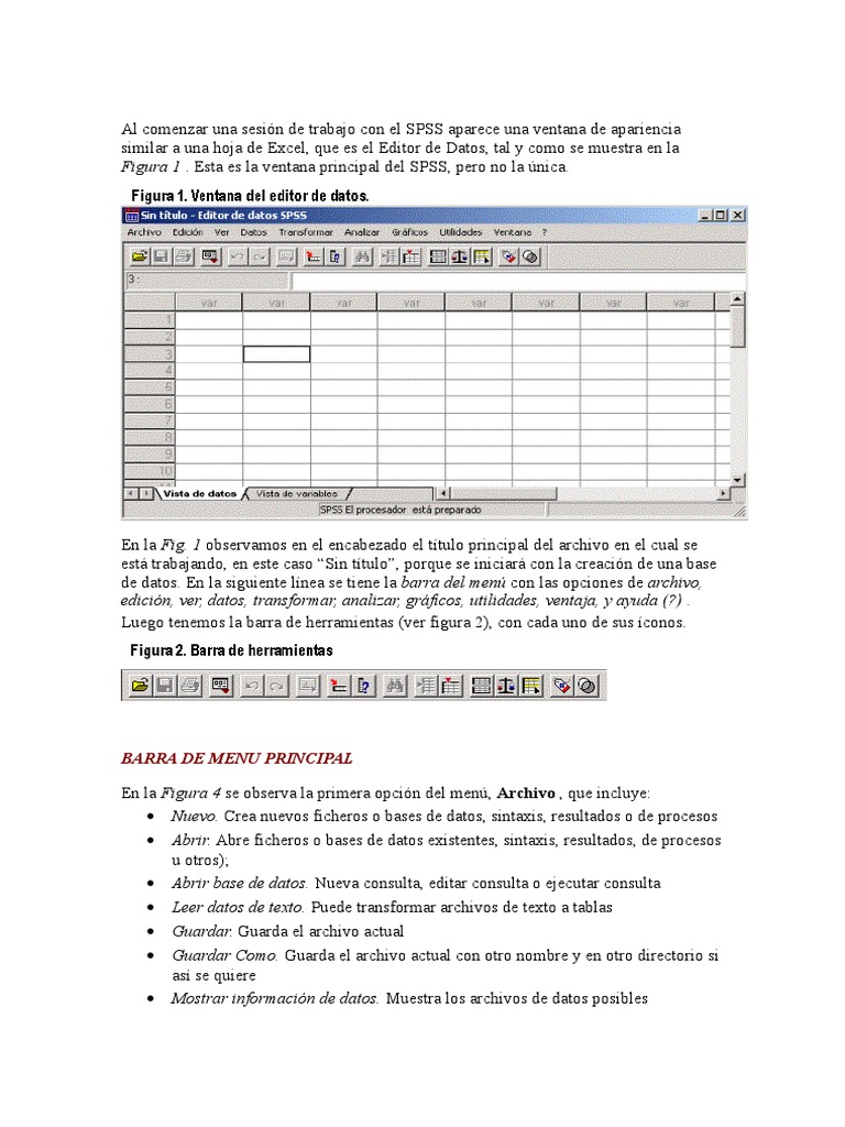 Introducción al uso de la interfaz del SPSS y creación de una base de datos | PDF | Spss ...