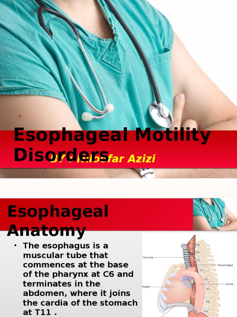 Esophageal Motility Disorders | Download Free PDF | Esophagus ...
