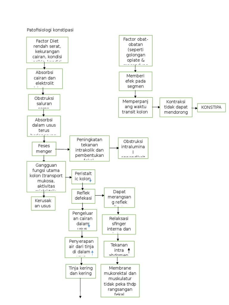 Patofisiologi Konstipasi Yosy | PDF