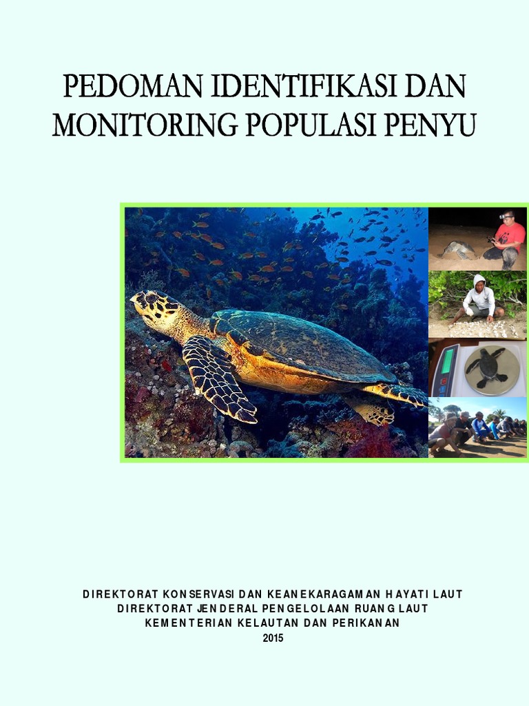 Pedoman Identifikasi Dan Monitoring Populasi Penyu | PDF