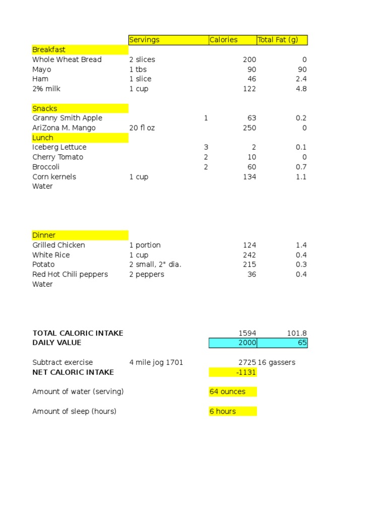 Day 1 Complete | PDF