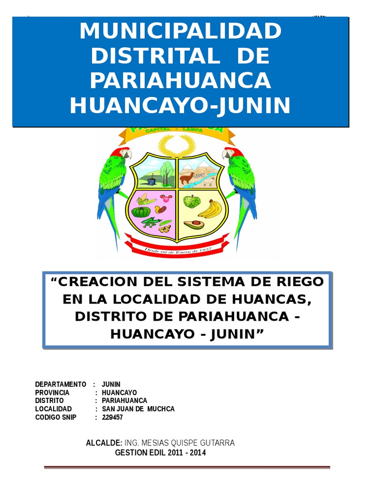 Proyecto De Inversión Pública Para Un Sistema De Riego Huancas Pdf