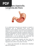 Flora Residente, Flora Transitoria, Transmisión Cruzada y Fómites | PDF ...