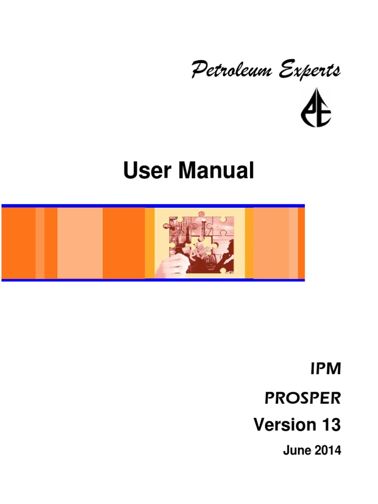 PROSPER Complete | PDF | Oil Well | Petroleum Reservoir