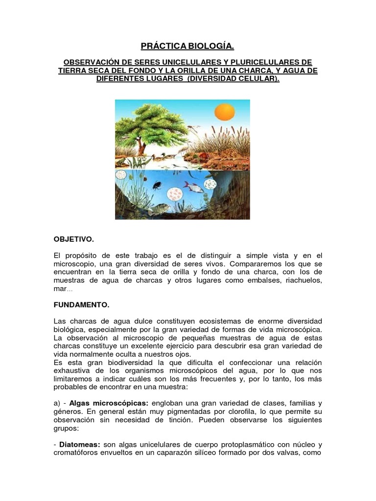 Práctica Biología