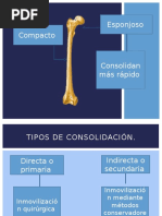 Clasificación de Dimeglio | PDF | Enfermedades y trastornos ...