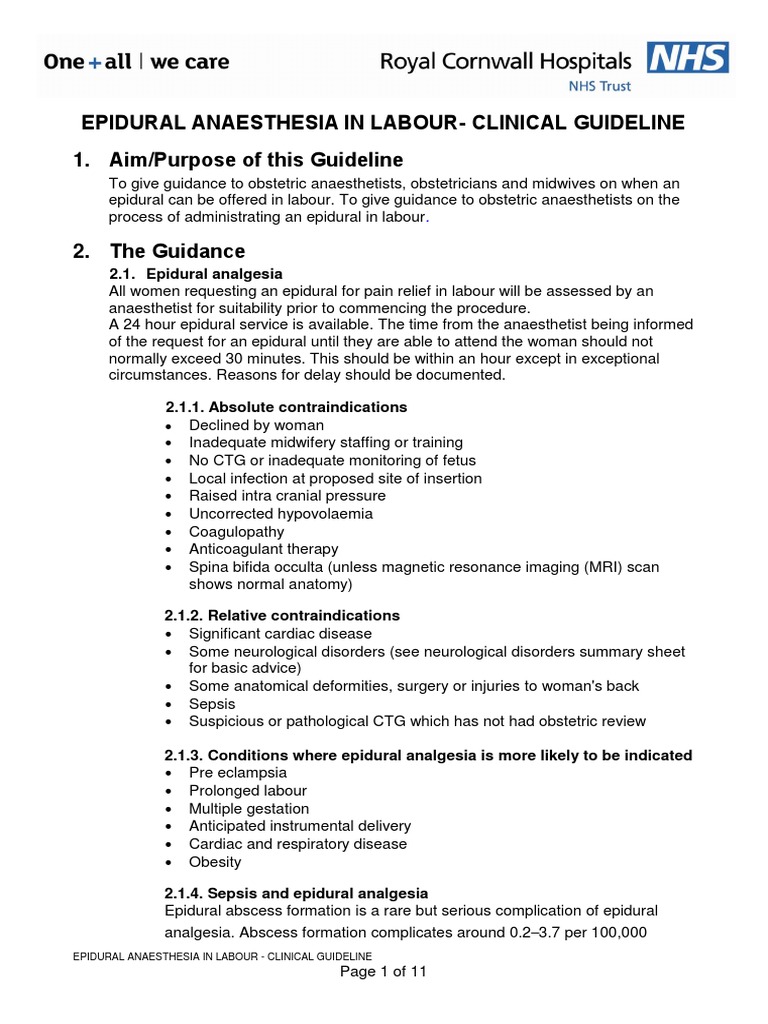 Epidural Analgesia in Labour Guideline For | Childbirth | Anesthesia