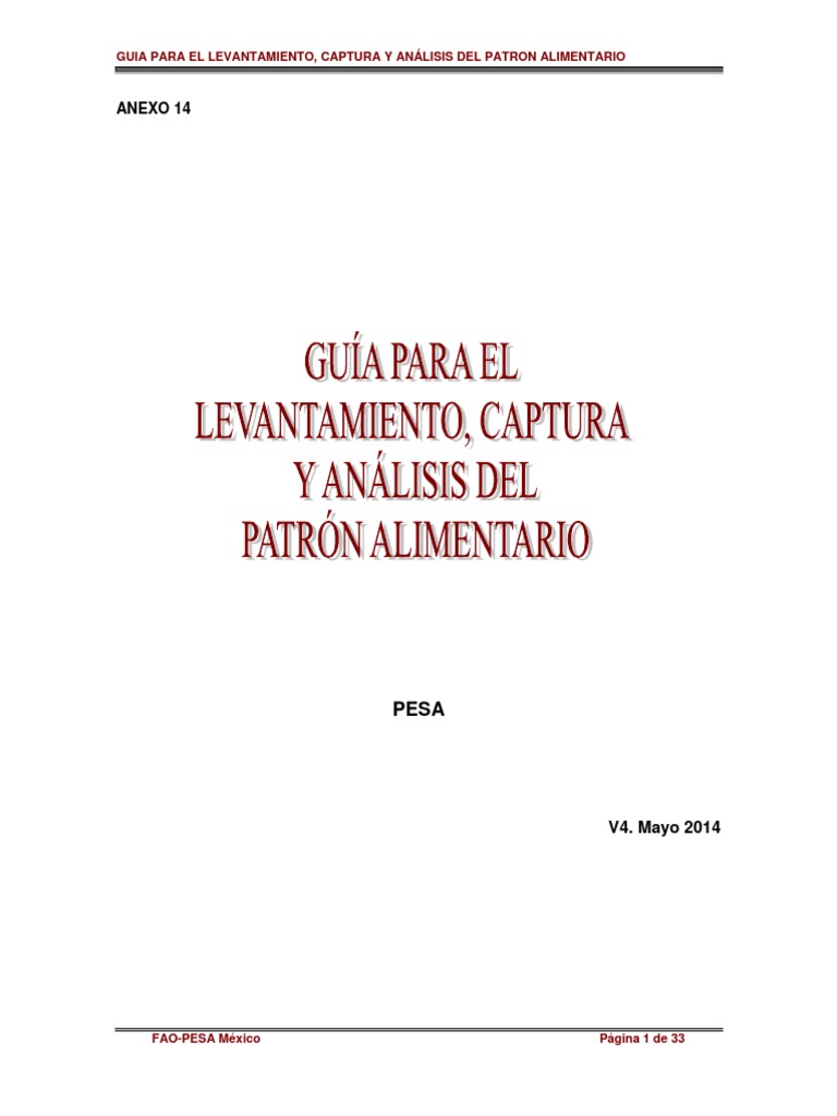 Patron Alimentario | PDF | Maíz | Alimentos