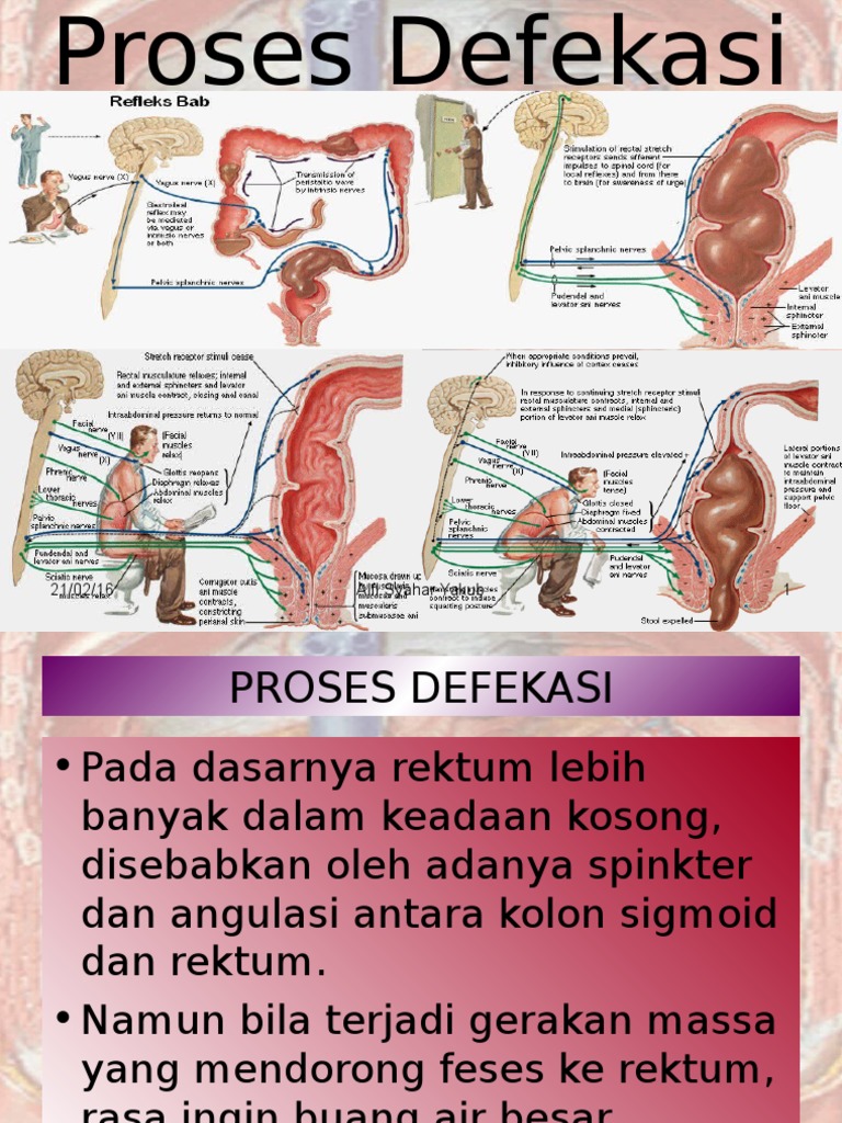 Proses Defekasi | PDF | Ilmu Sosial